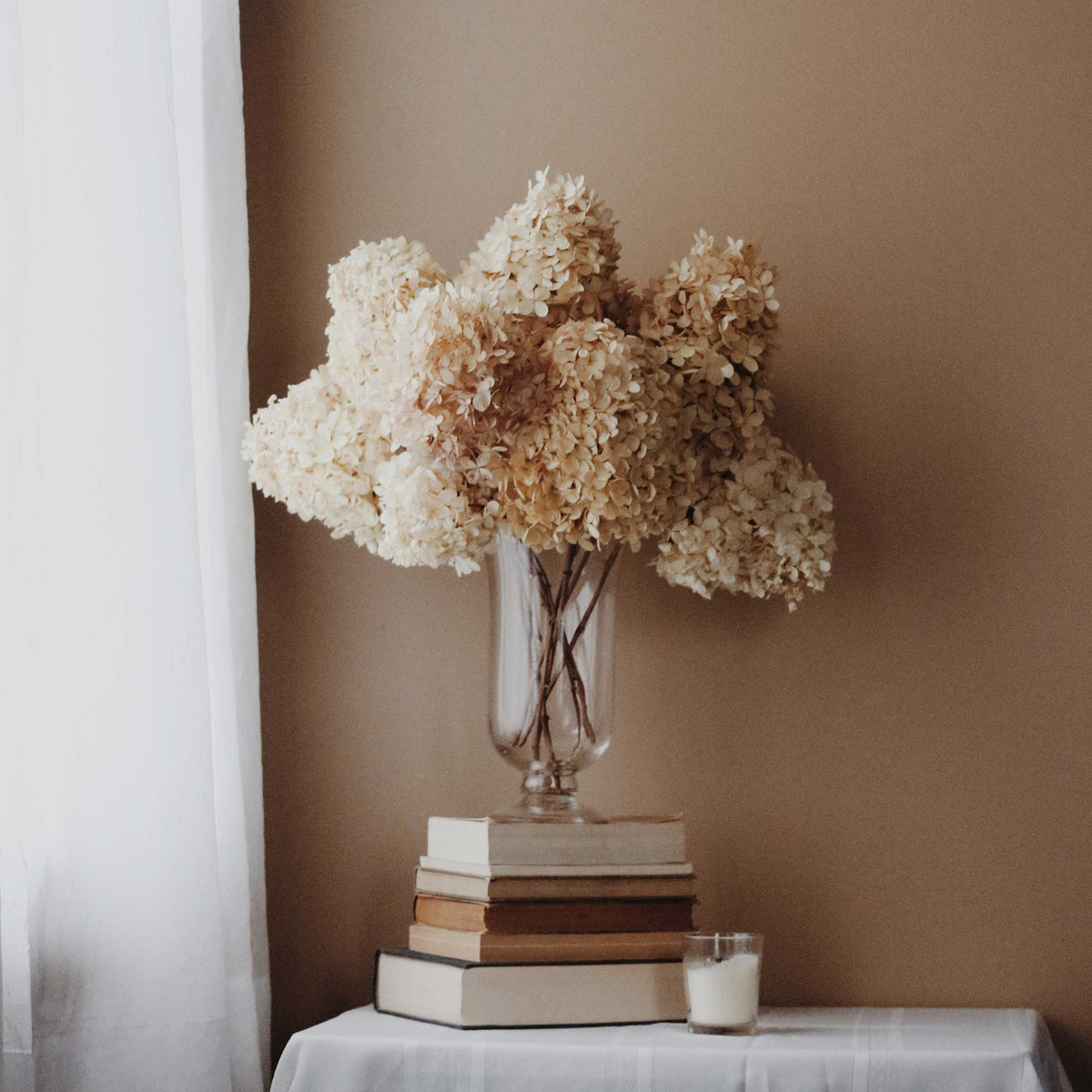 Living Room Paint Colors | Color Baggage